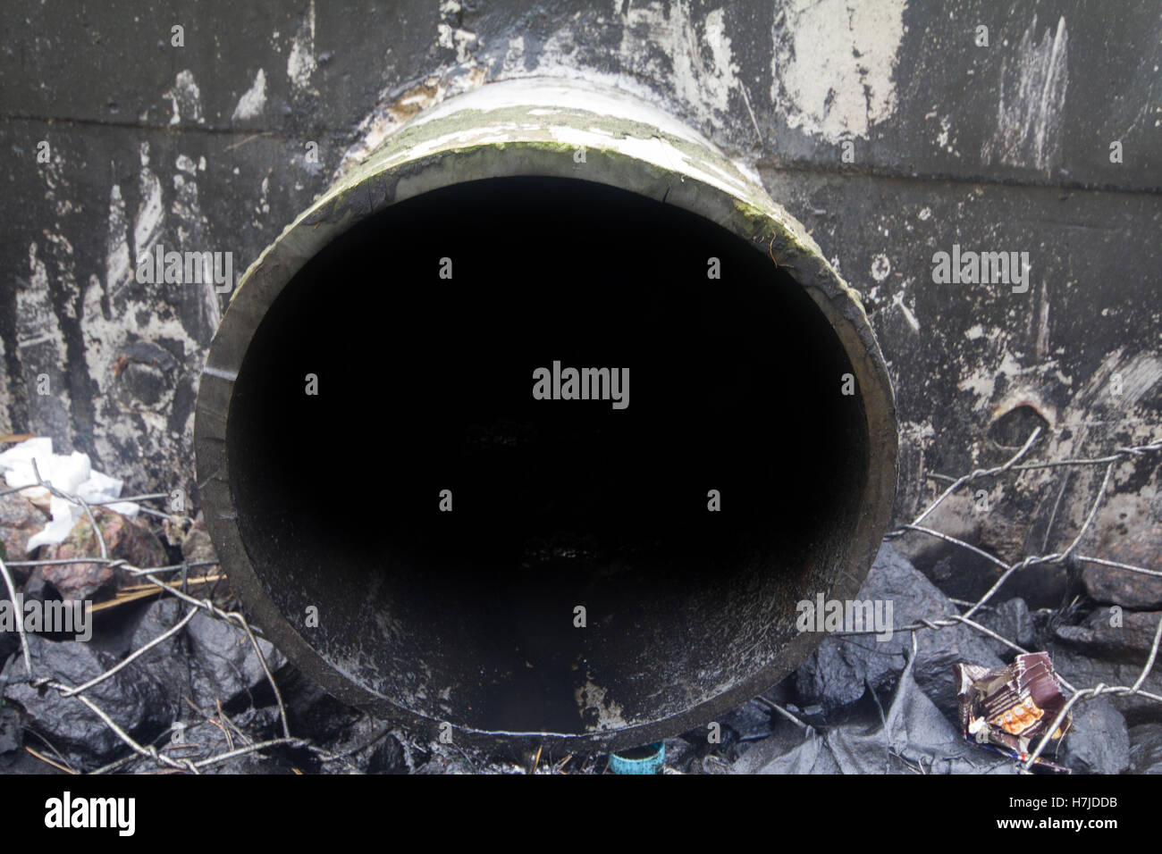 engine oil follows from a pipe in the wood Stock Photo - Alamy