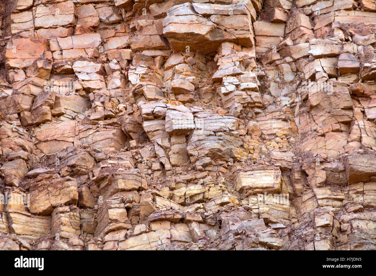 Hard calcareous hi-res stock photography and images - Alamy