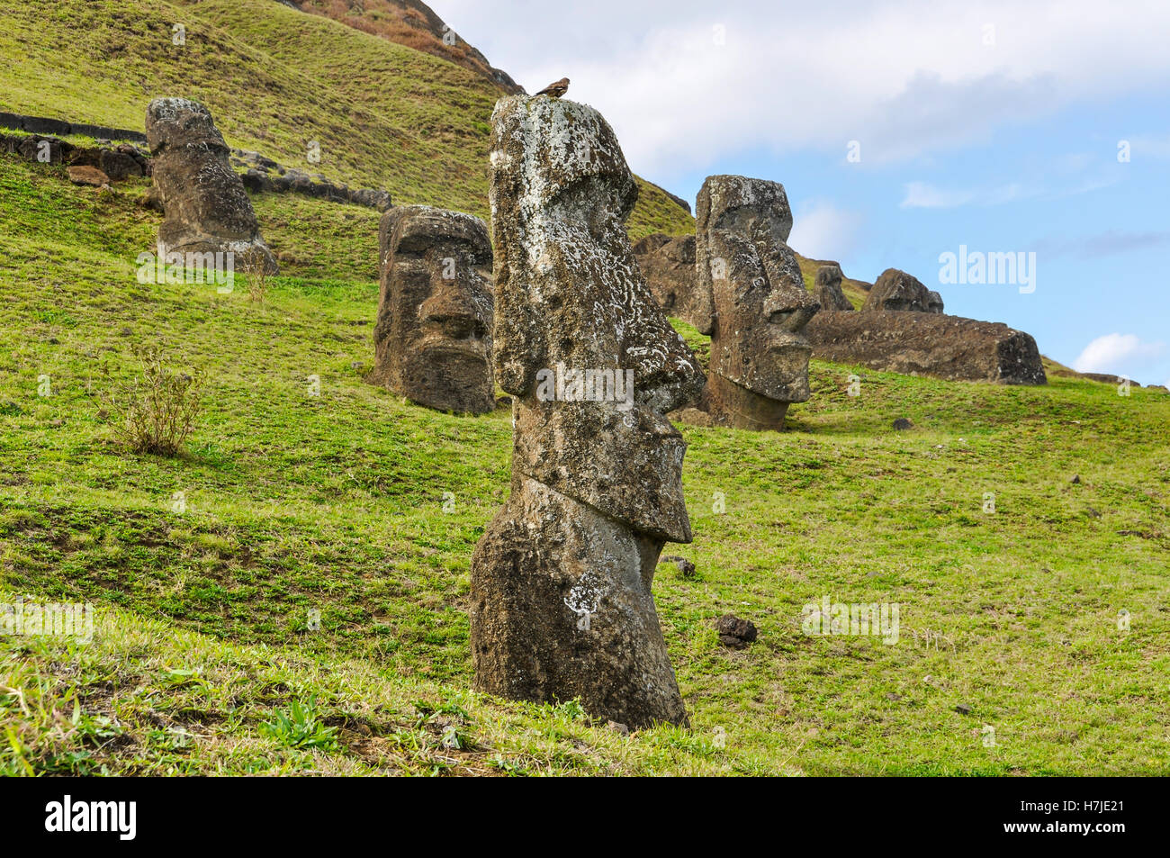 Easter island moai statues hi-res stock photography and images - Alamy