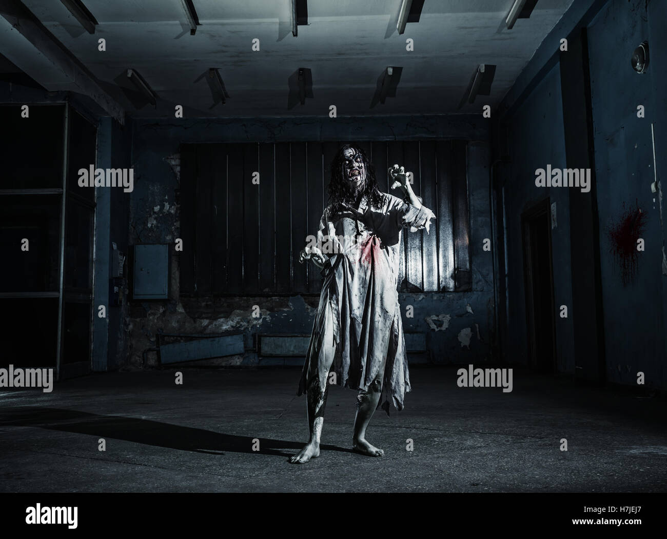 Portrait of the horror zombie woman. Halloween Stock Photo - Alamy