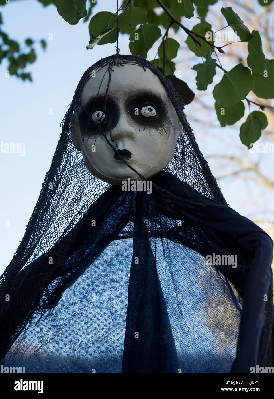 Scary eyes hi-res stock photography and images - Alamy