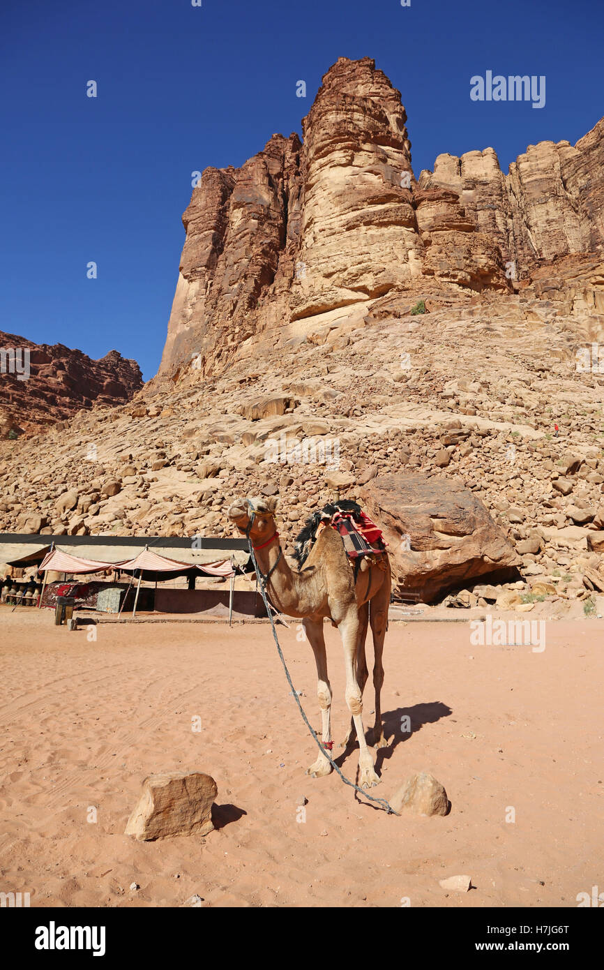 Spring in jordan hi-res stock photography and images - Alamy