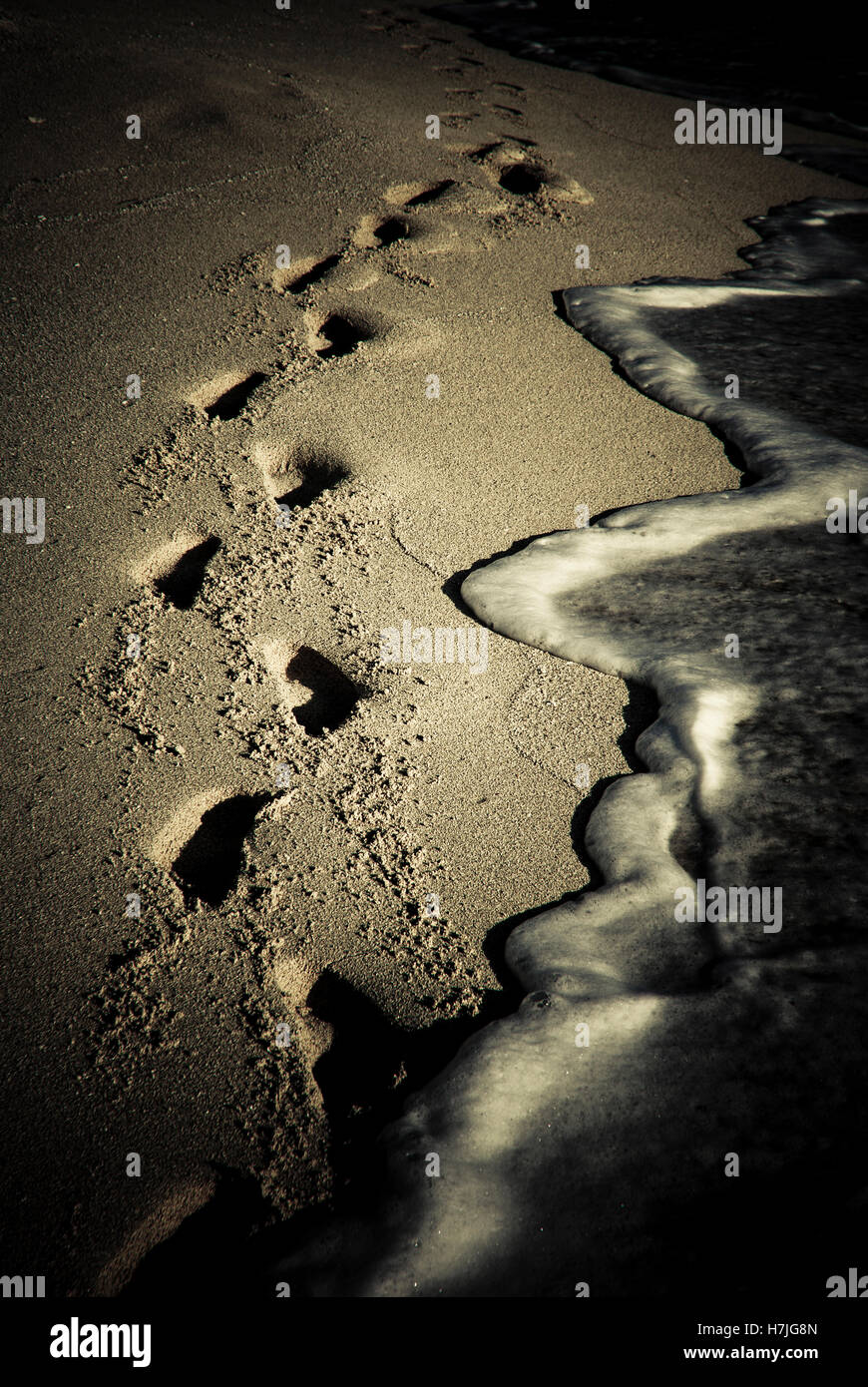 Footprints in the sand on a beach near Cancun at night Stock Photo - Alamy