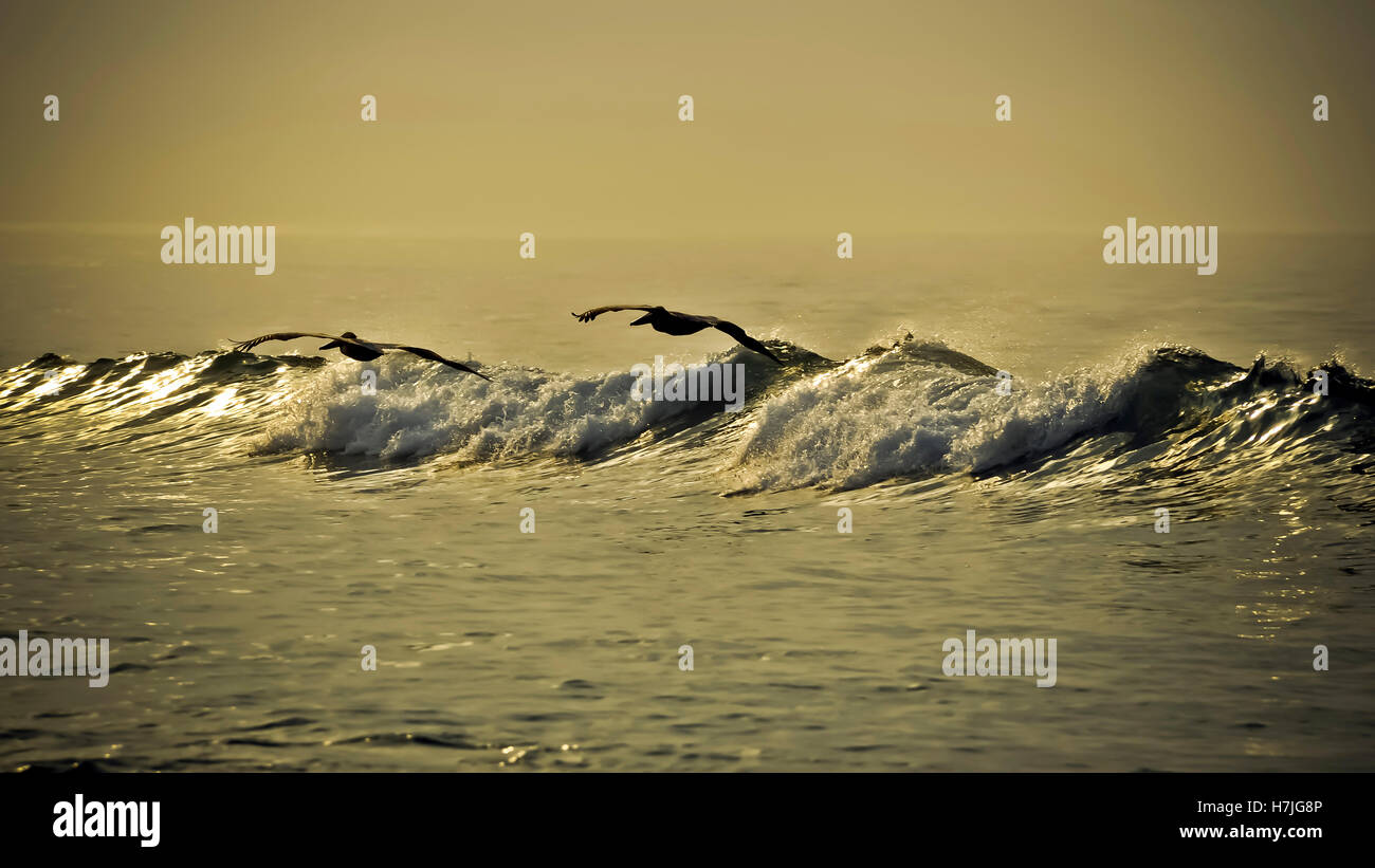 Flying over tropical resort High Resolution Stock Photography and ...
