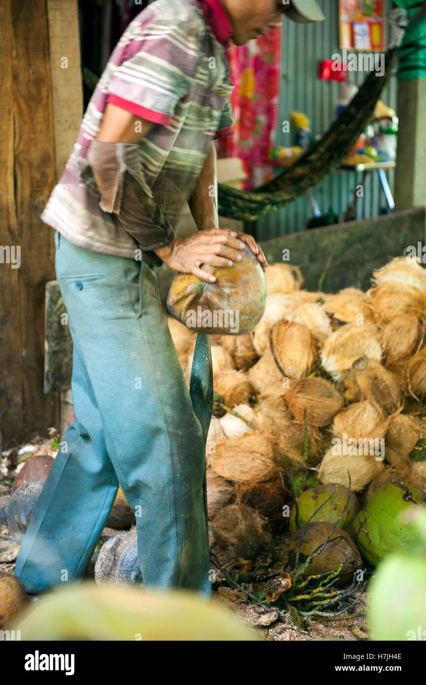 A man splitting coconuts with a spear in a small village off Ben Tre on ...