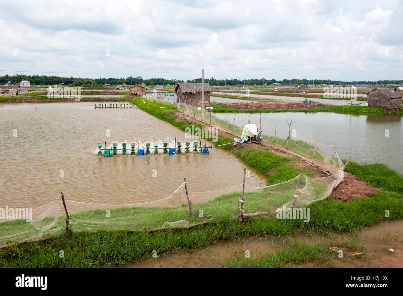 Fish farms irrigated by water from the nearby Mekong Delta near Tra ...