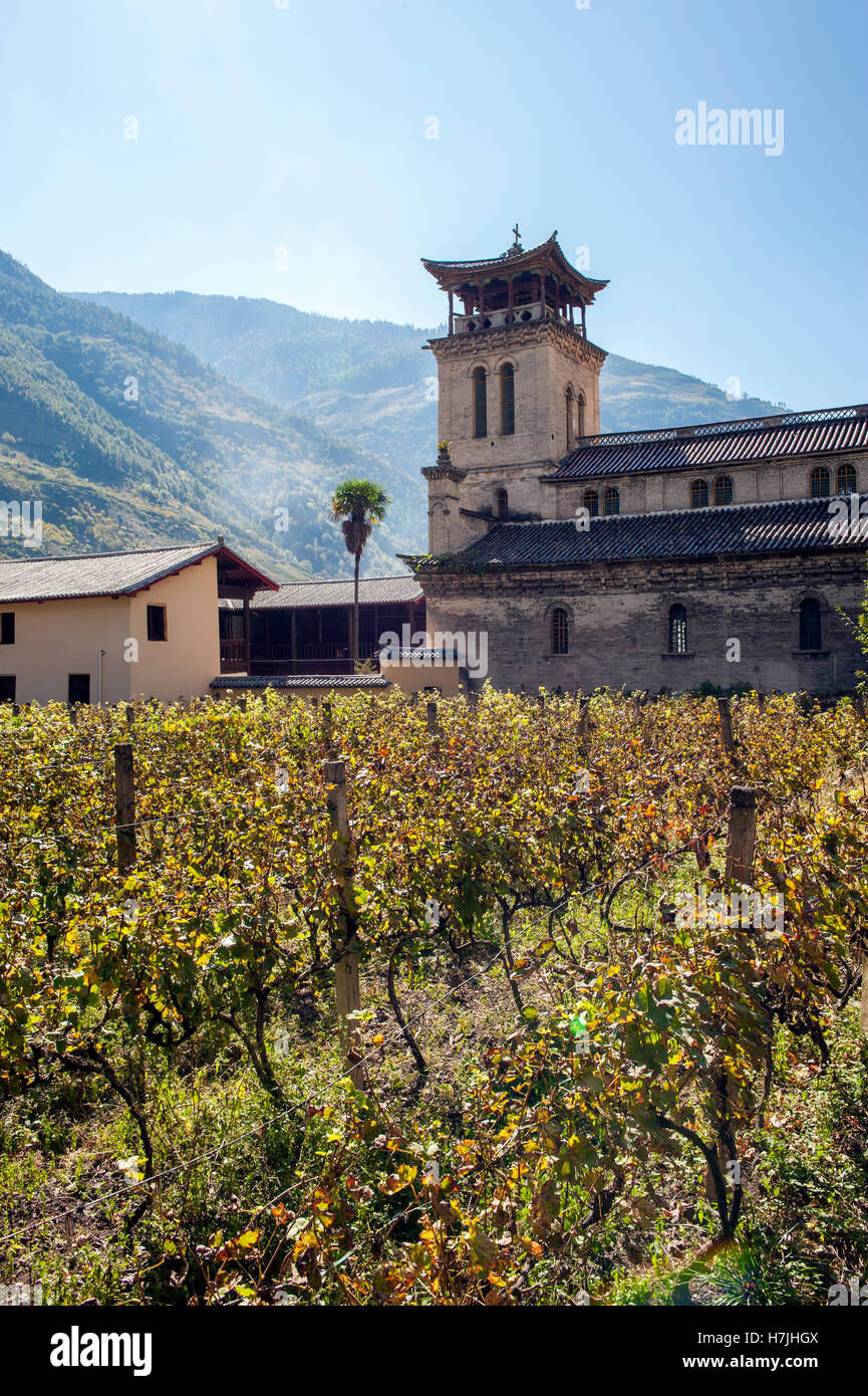 Vines surrounding Cizhong Church, a stone and stucco church built in ...