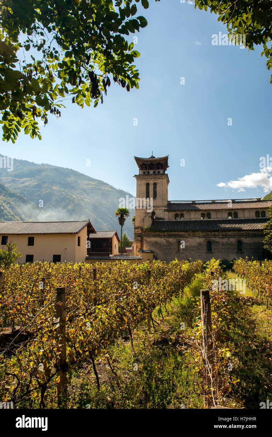 Vines surrounding Cizhong Church, a stone and stucco church built in ...
