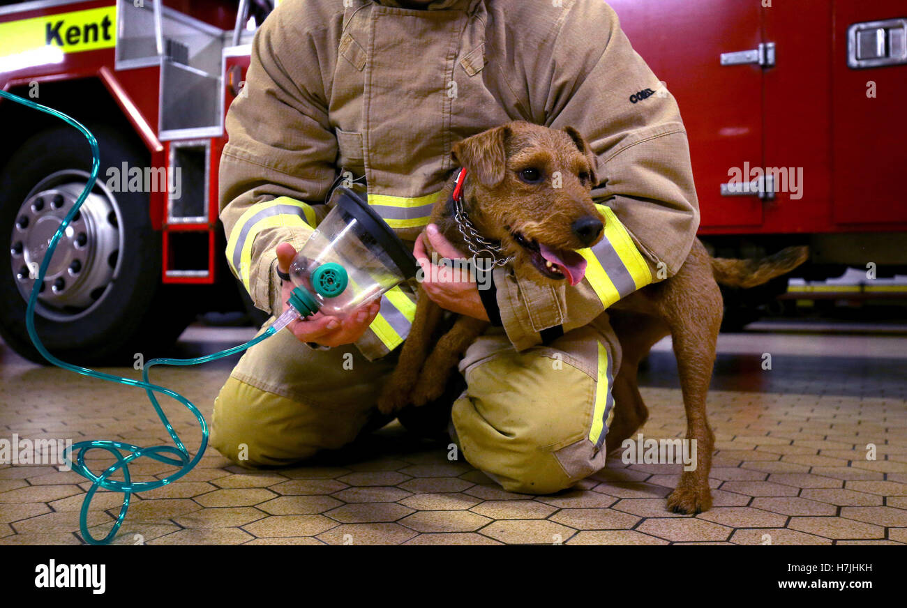 Firefighter Glenn Emery of the Kent Fire and Rescue Service ...