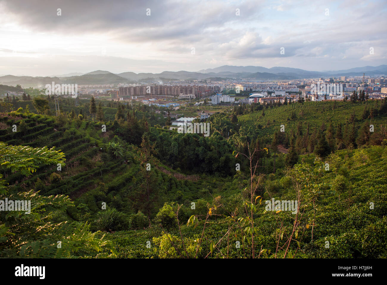 Overlooking the city of Pu'er, once a major hub on the Tea Horse Trail ...