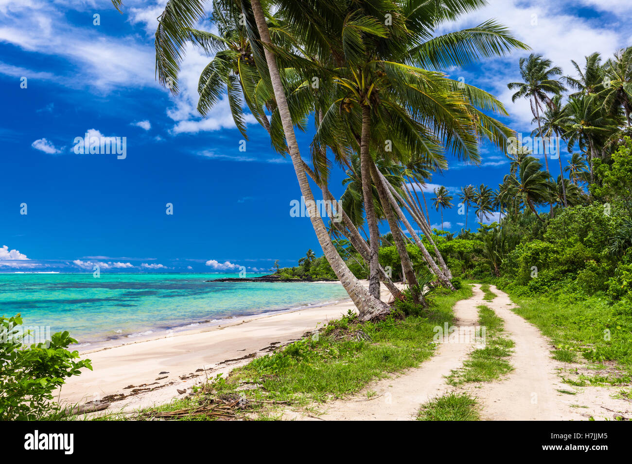 Tropical beach on Samoa Island with palm trees and dirt road Stock ...