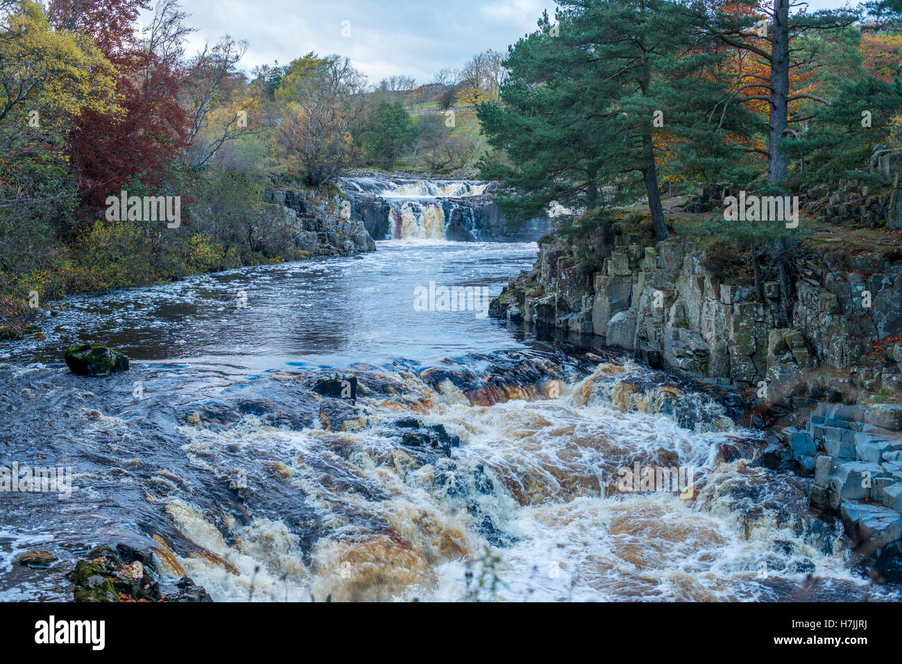 The River Tees running through Low Force Waterfall in Teesdale Stock ...