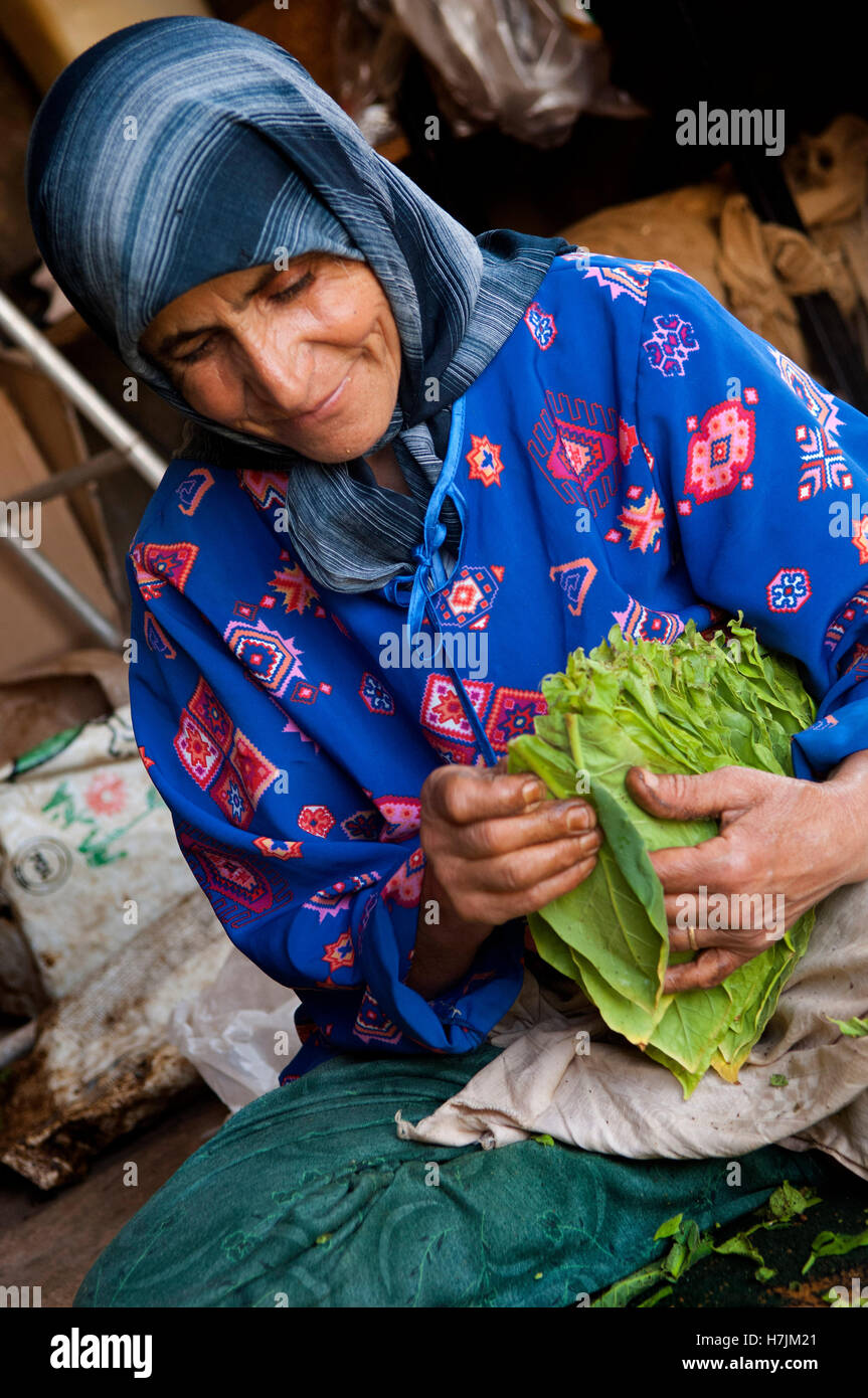 Lebanon plantation hi-res stock photography and images - Alamy