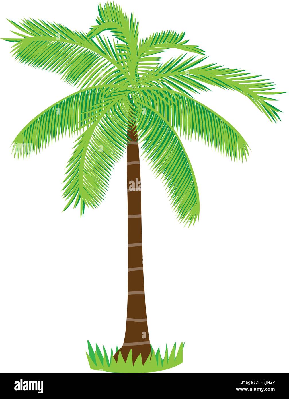 summer palm tree icon over white background. colorful design. vector ...