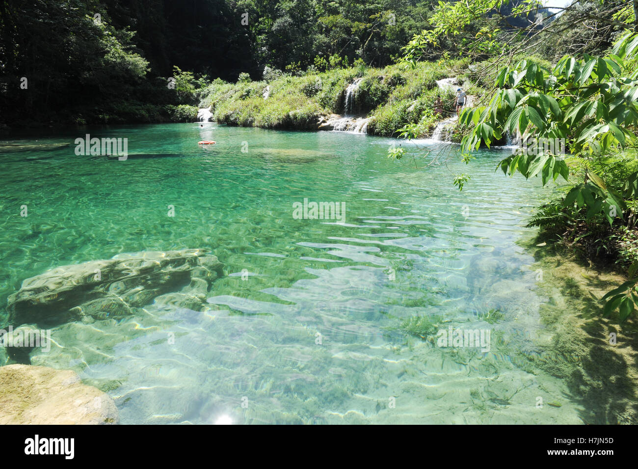 Natural Monument park of Semuc Champey at Languin on Guatemala Stock ...