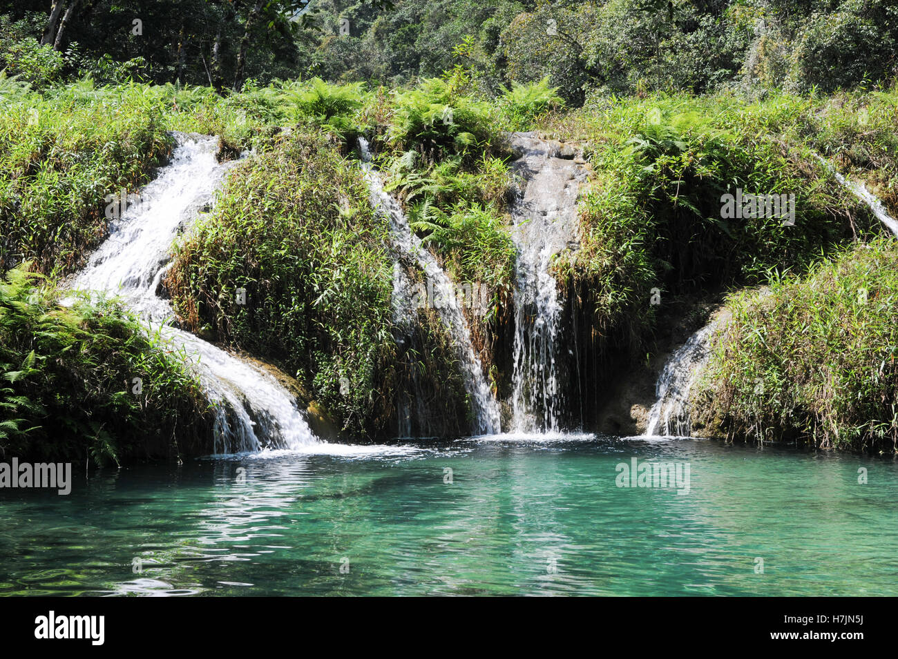 Natural Monument park of Semuc Champey at Languin on Guatemala Stock ...