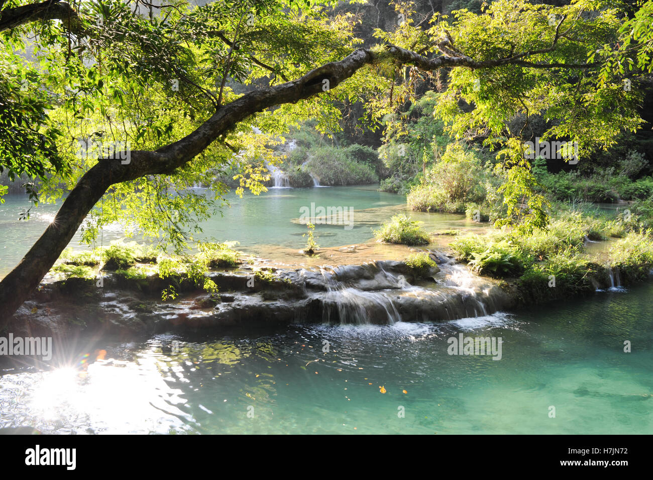 Natural Monument park of Semuc Champey at Languin on Guatemala Stock ...