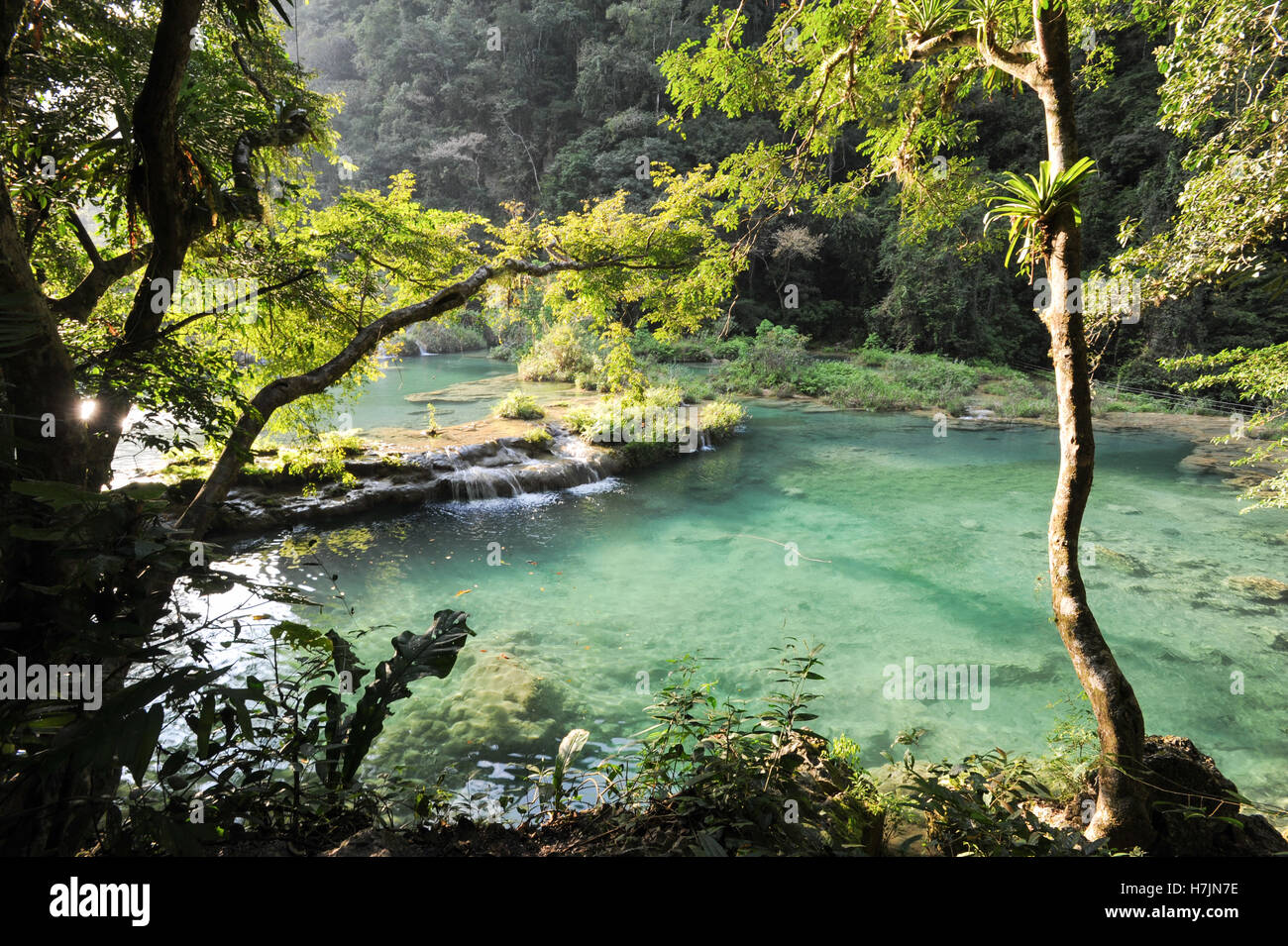 Natural Monument park of Semuc Champey at Languin on Guatemala Stock ...