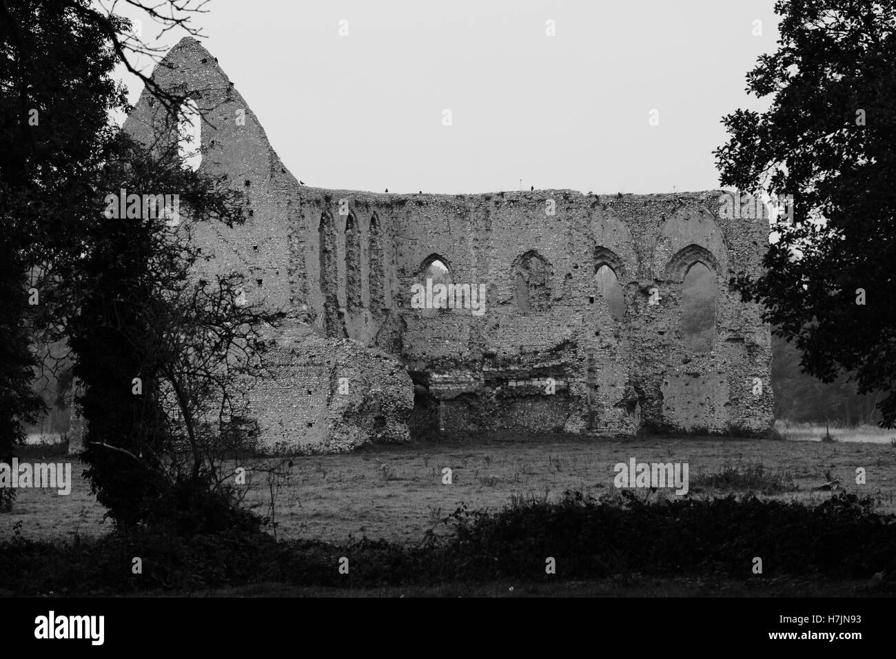 Ruin ruined abbey surrey monument hi-res stock photography and images ...