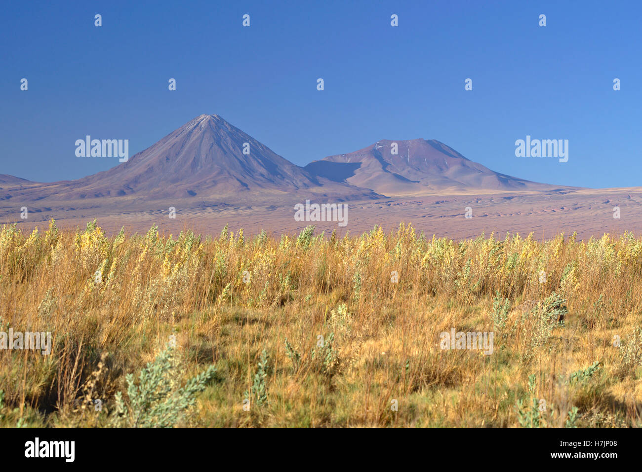 Pleasant colored grass field in front of two massive volcanoes in a ...