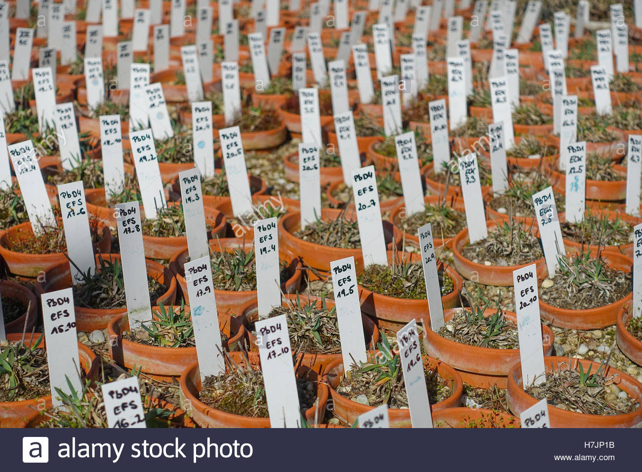 Boku High Resolution Stock Photography and Images - Alamy