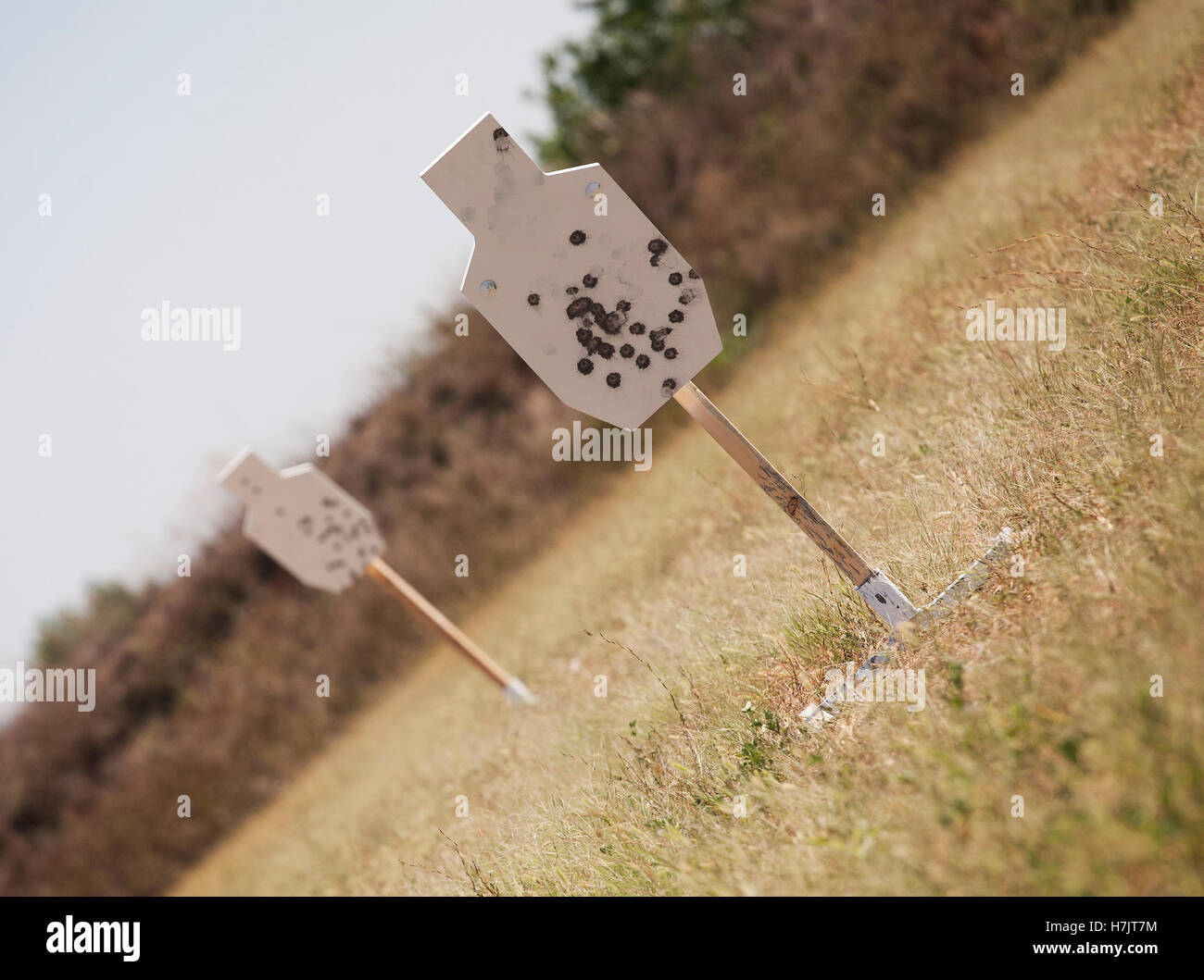 White steel targets on a sunny day during firearm practice Stock Photo ...