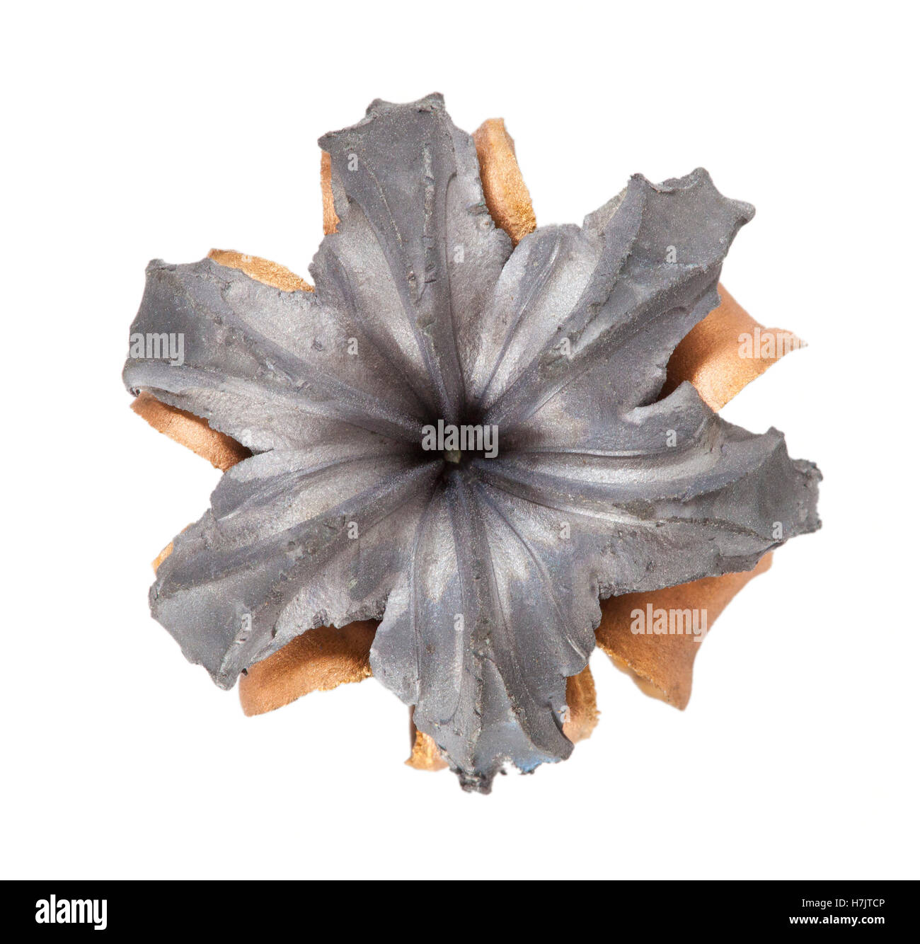 Isolated hollow point bullet that has expanded on impact Stock Photo ...