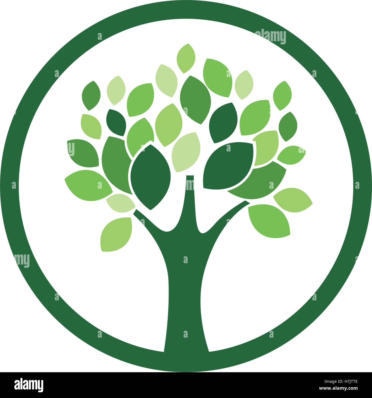 Tree with leaves inside circle icon. Plant nature environment spring ...