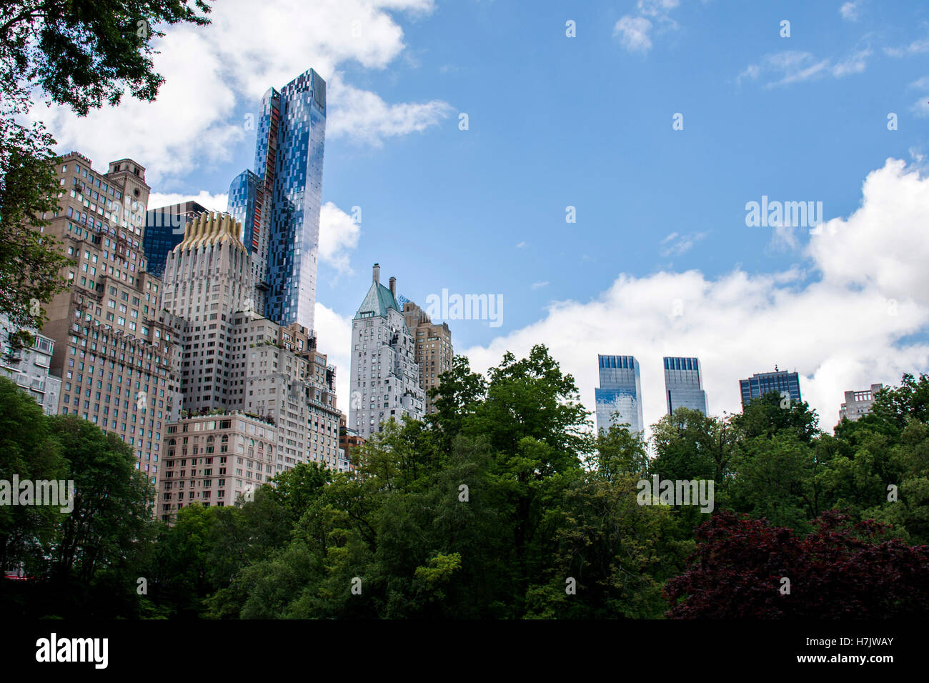 Central park trees hi-res stock photography and images - Alamy