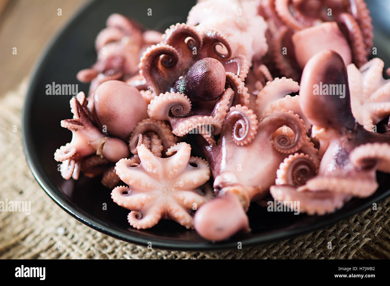 Small Octopus