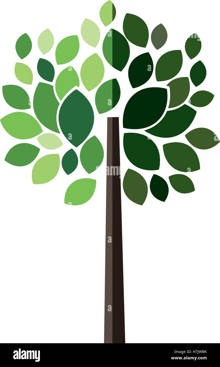 Tree with leaves icon. Plant nature environment spring and garden theme ...