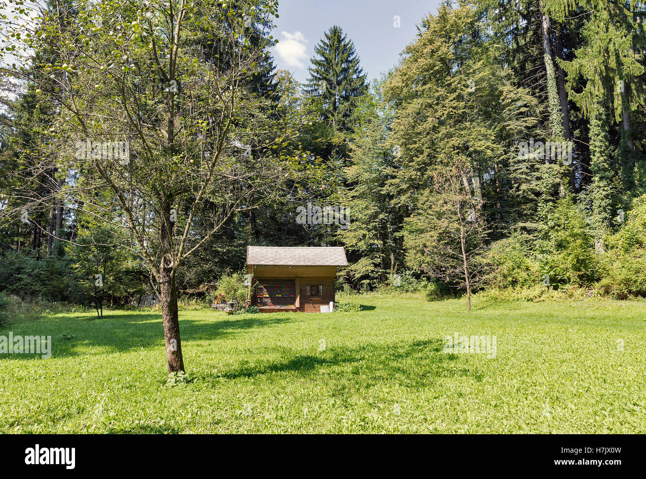 Apiary house with hives in the mountains of Slovenia Stock Photo - Alamy