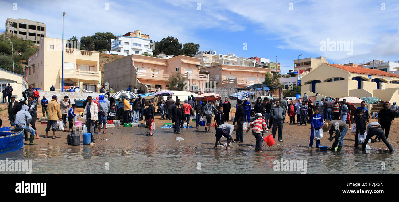 A crowded fish market on the beach at Merja Zerga, Morocco Stock Photo ...