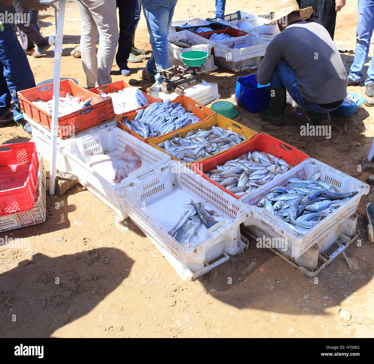 Merja zerga hi-res stock photography and images - Alamy