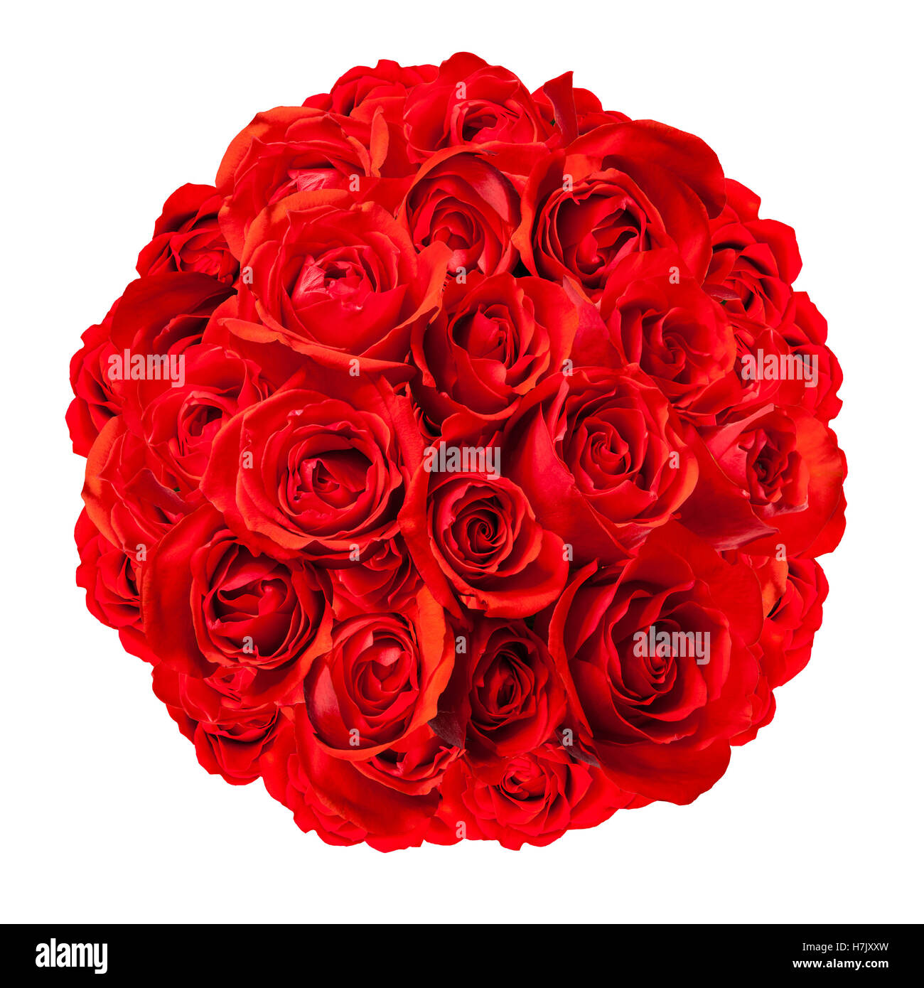Roses in a circle hi-res stock photography and images - Alamy