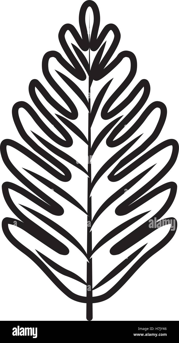 Leaf icon. Autumn season floral garden and nature theme. Vector ...