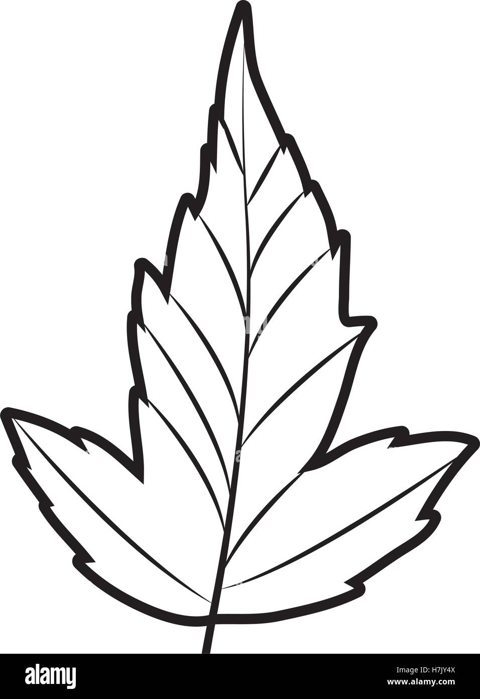 Leaf icon. Autumn season floral garden and nature theme. Vector ...