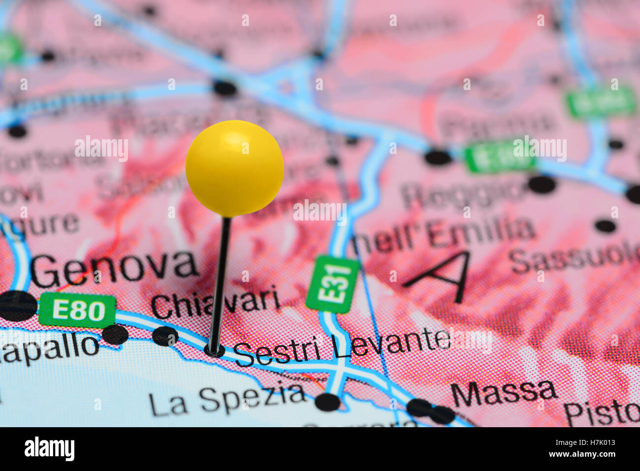 Segesta tigullorum hi-res stock photography and images - Alamy