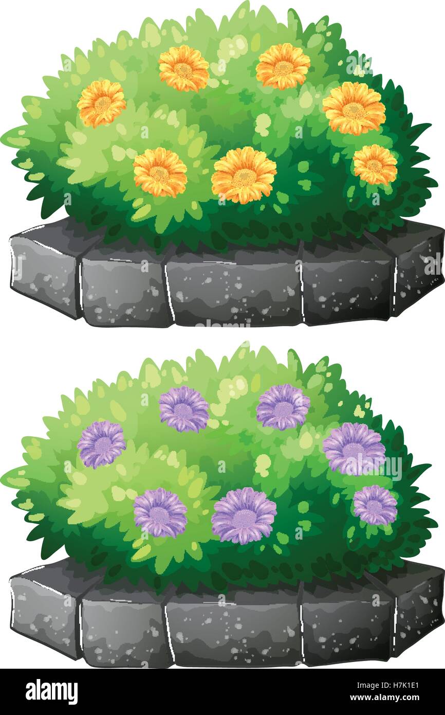 Flowers in the bush illustration Stock Vector Image & Art - Alamy