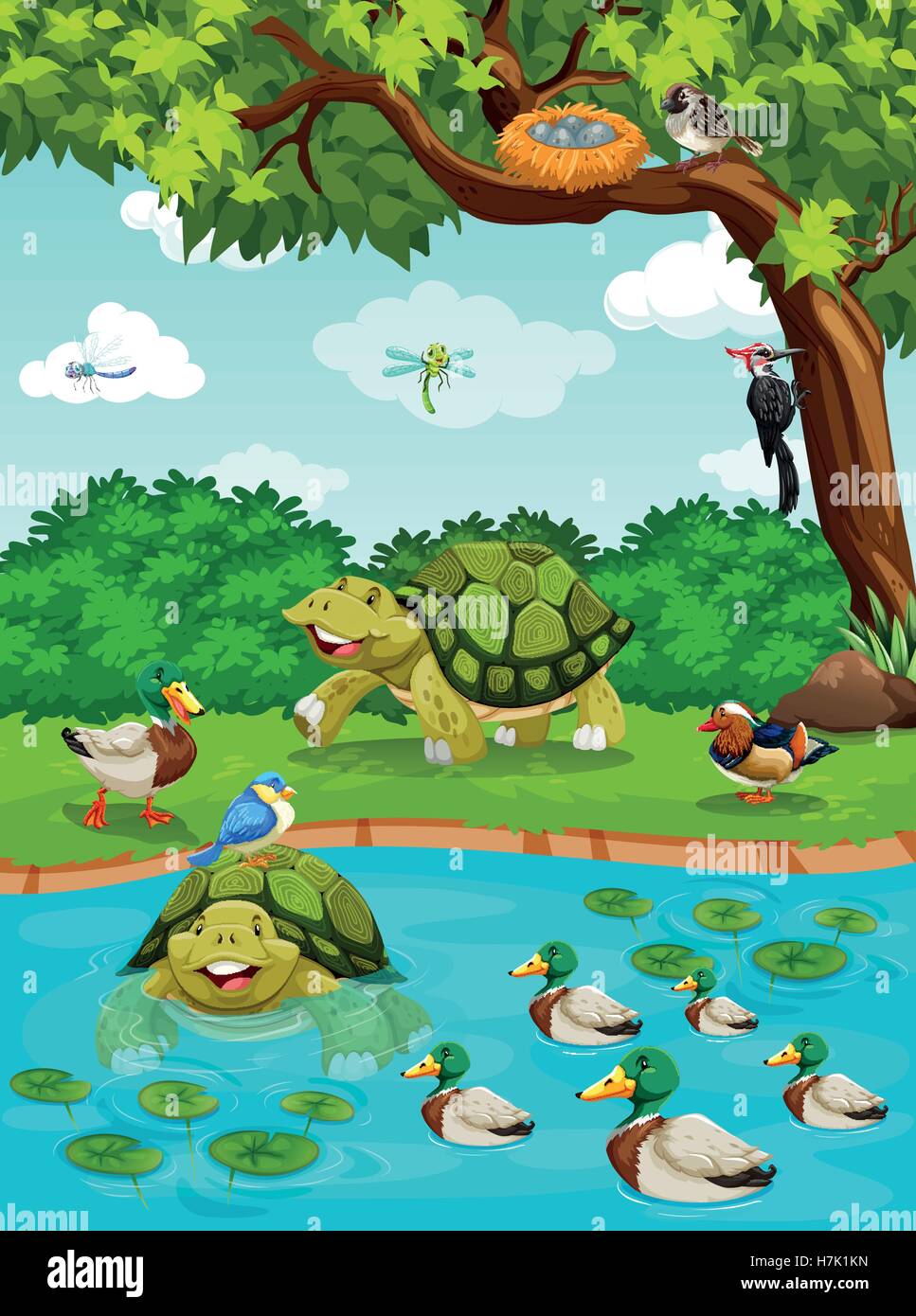 Turtles and ducks at the river illustration Stock Vector Image & Art ...
