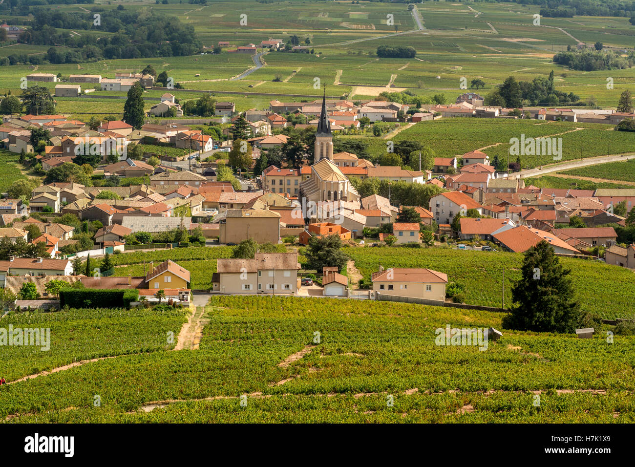 Fleurie hi-res stock photography and images - Alamy