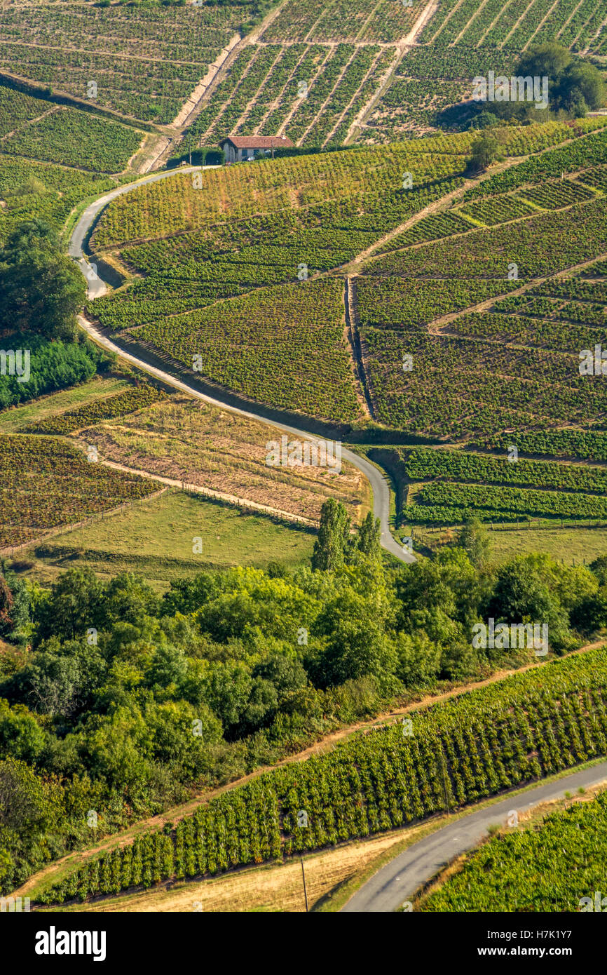 Morgon beaujolais hi-res stock photography and images - Alamy