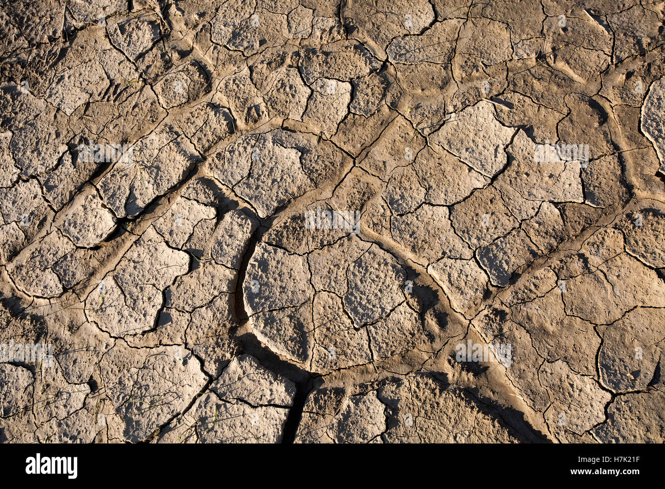 Cracked dry earth texture, desert land Stock Photo - Alamy