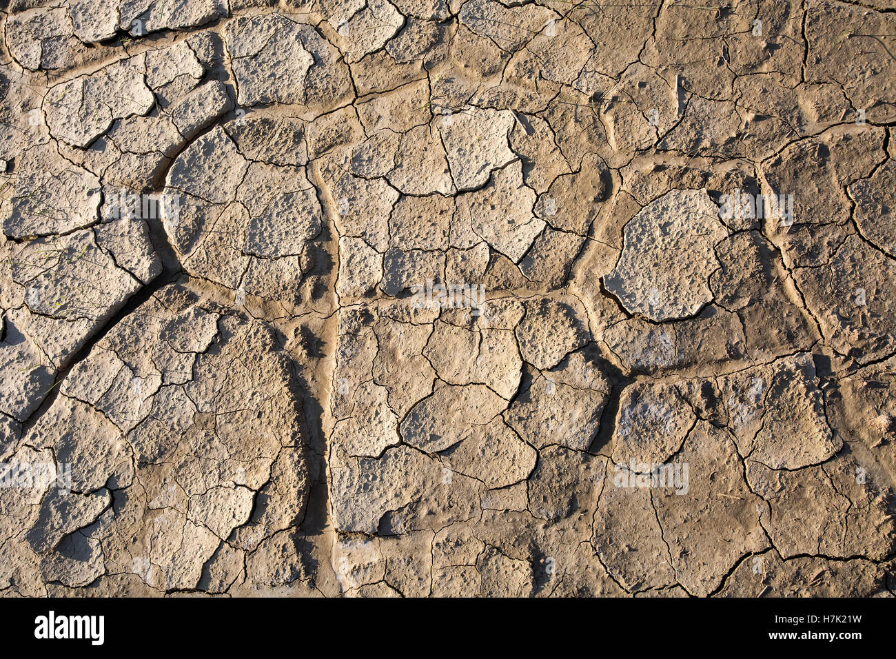 Cracked dry earth texture, desert land Stock Photo - Alamy