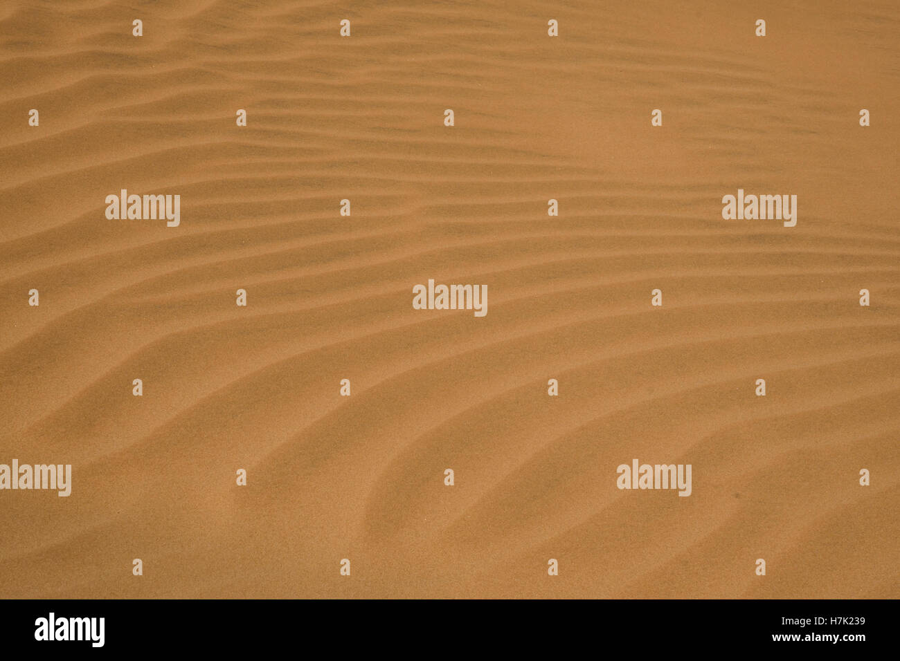 Desert shape hi-res stock photography and images - Alamy