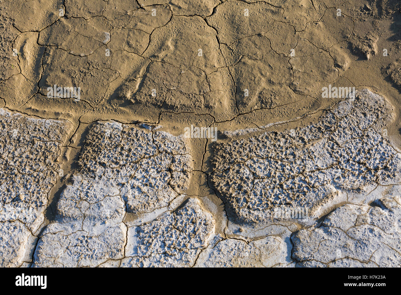 Cracked dry earth texture, desert land Stock Photo - Alamy
