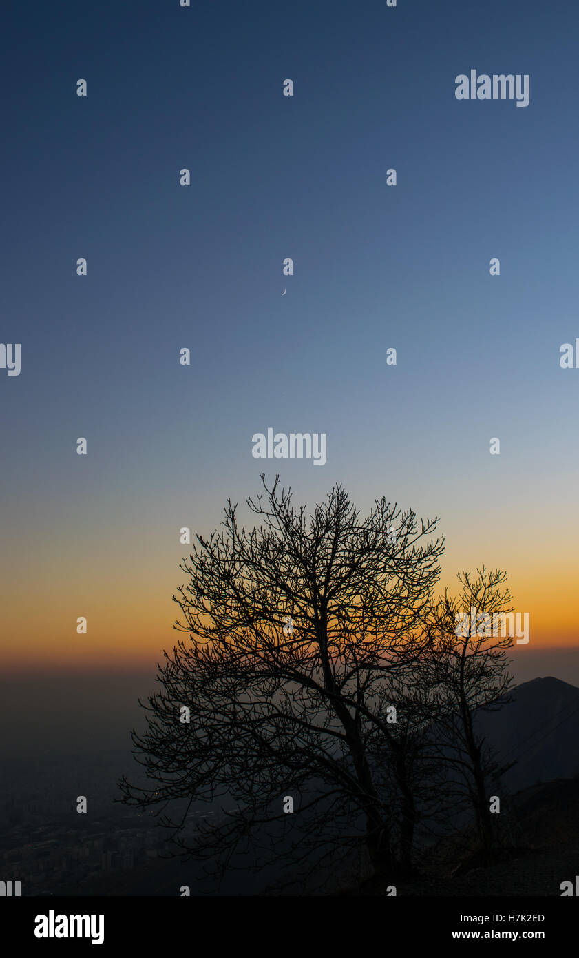 Trees mountain sky hi-res stock photography and images - Alamy