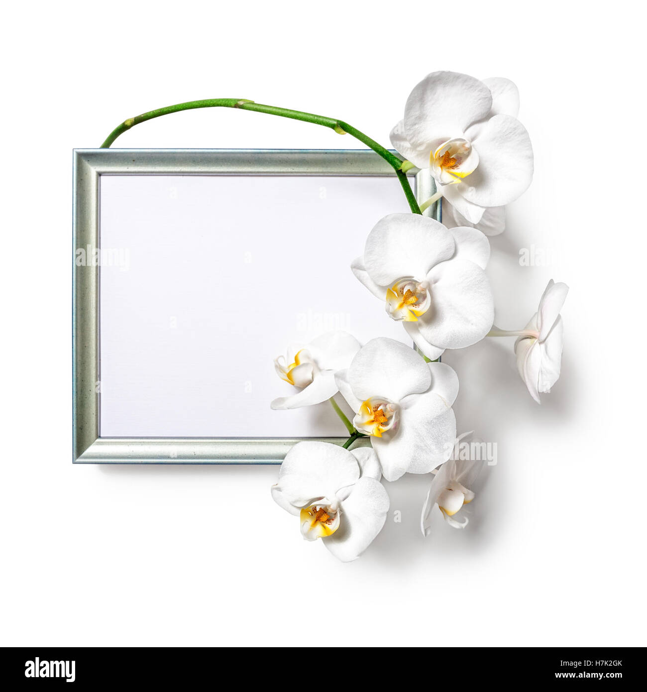 Picture photo frame with white orchid flowers isolated on white ...