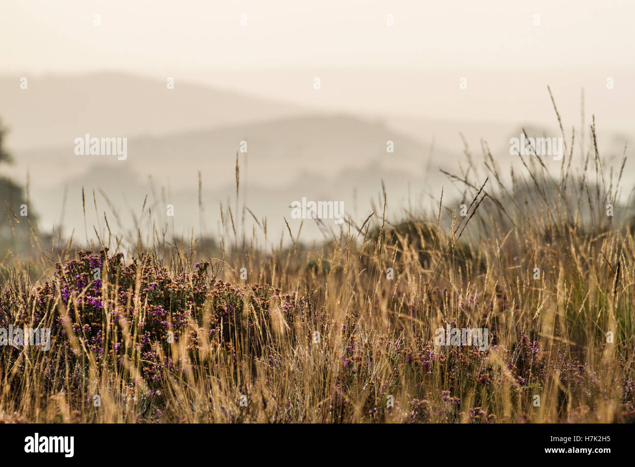 Layers of mist hi-res stock photography and images - Alamy