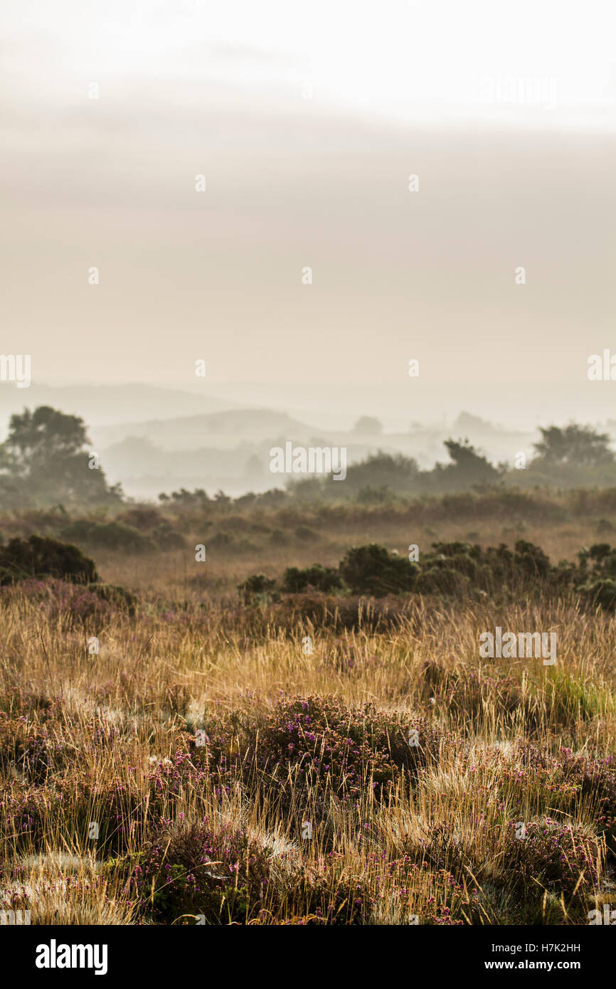Layered hills hi-res stock photography and images - Alamy